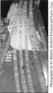 Club History – NVMR